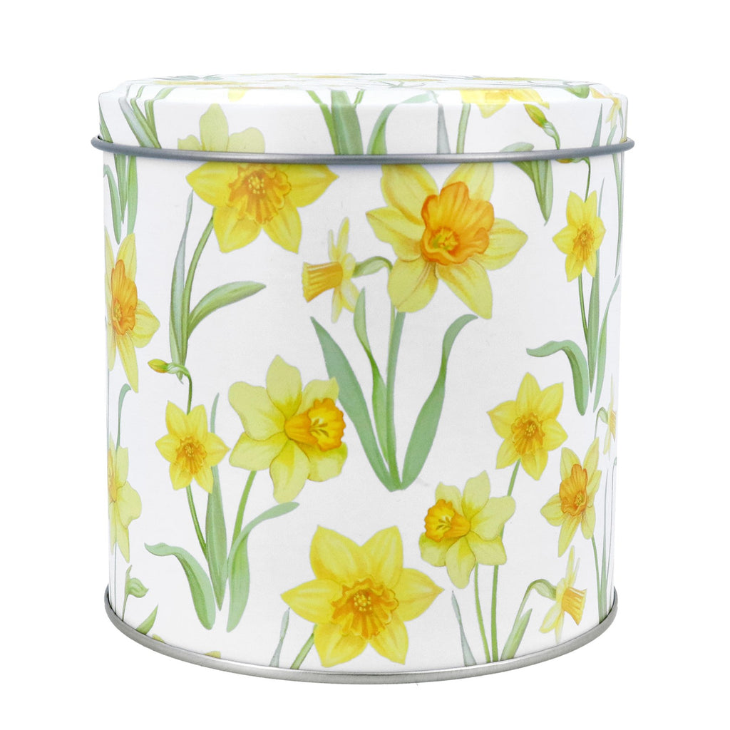 SALE | Daisy Park